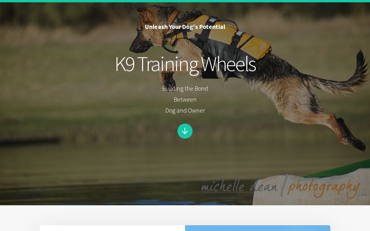 K9 Training Wheels